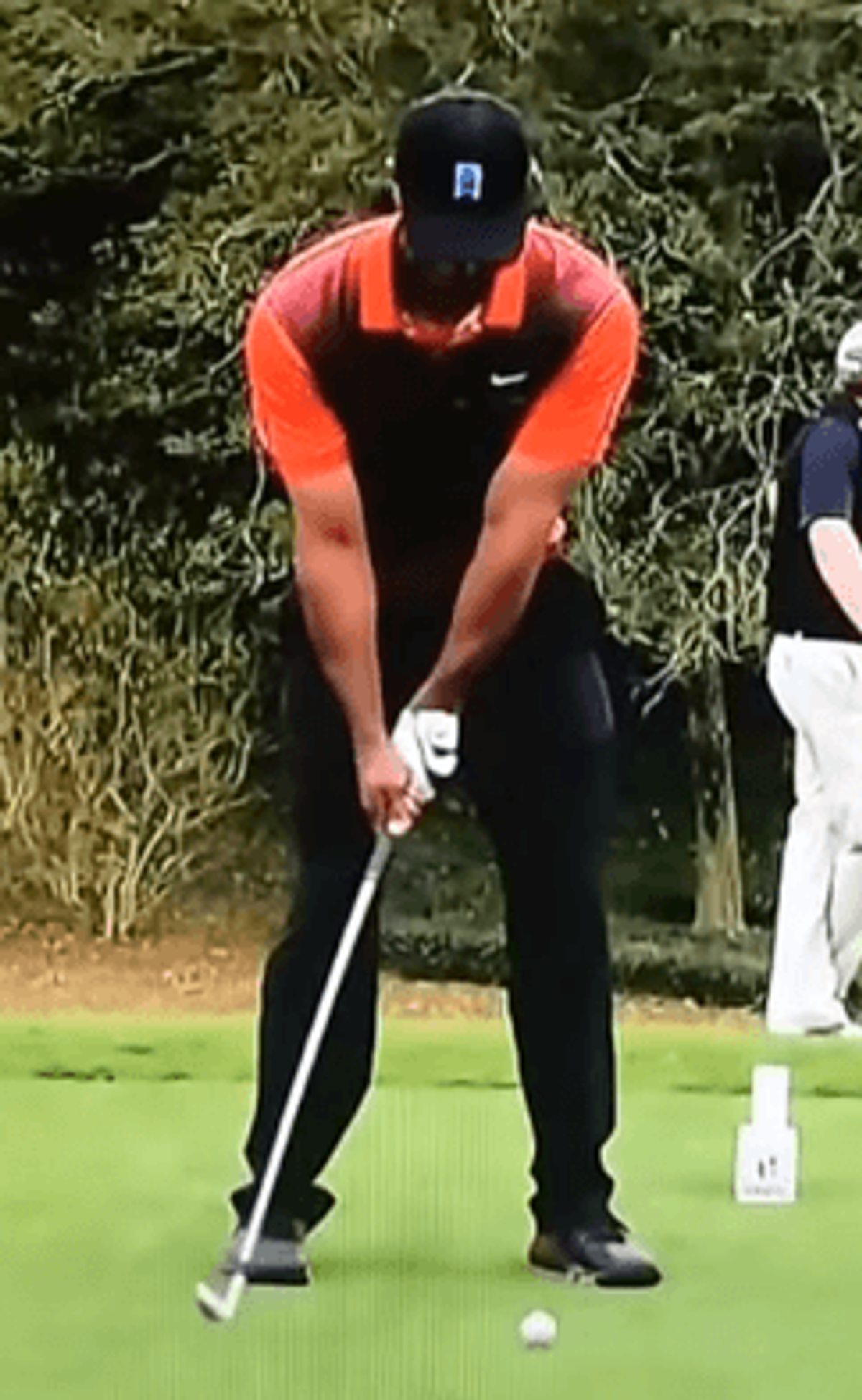 The "Flying Wedges" and Wrist Movement Glossary