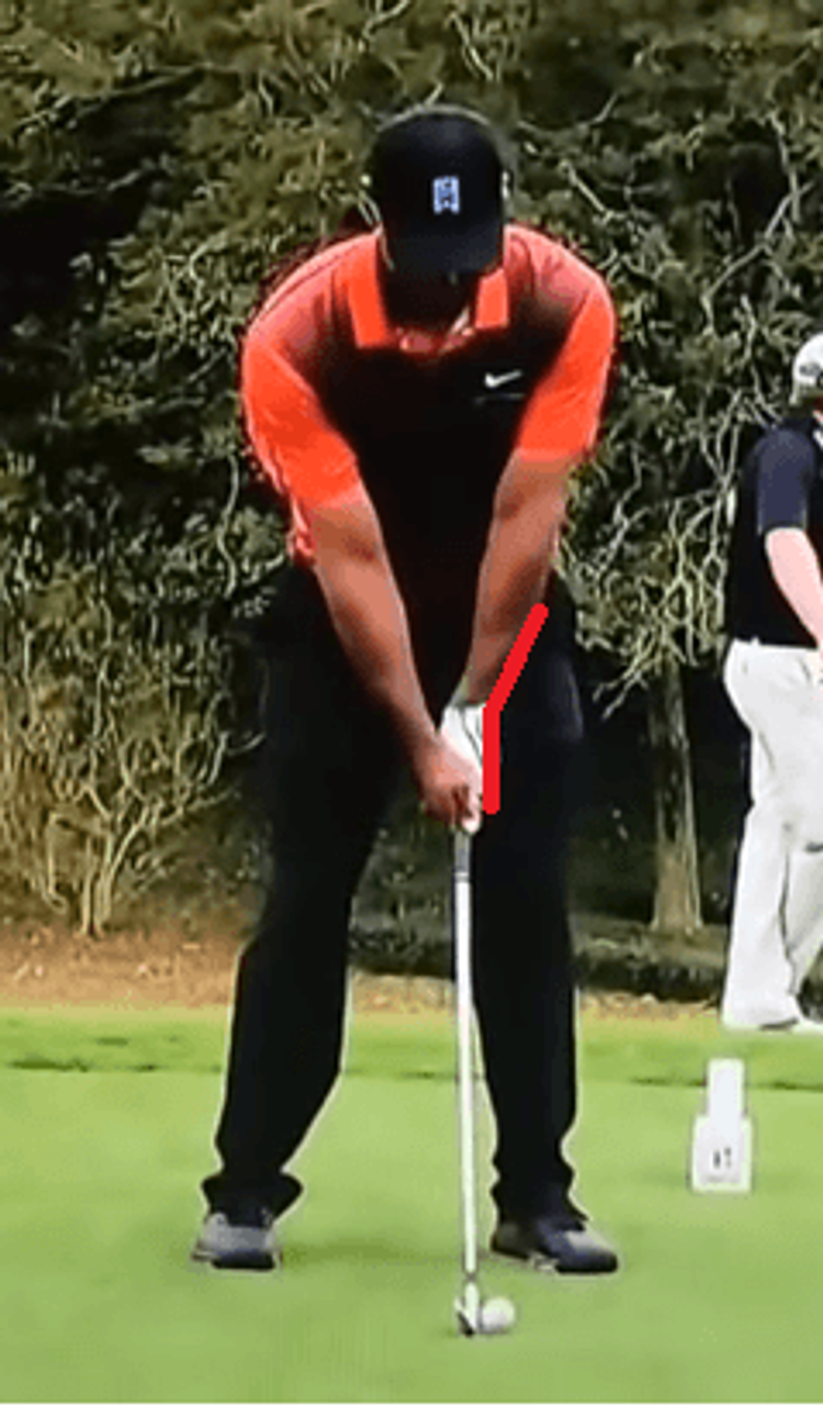 The "Flying Wedges" and Wrist Movement Glossary