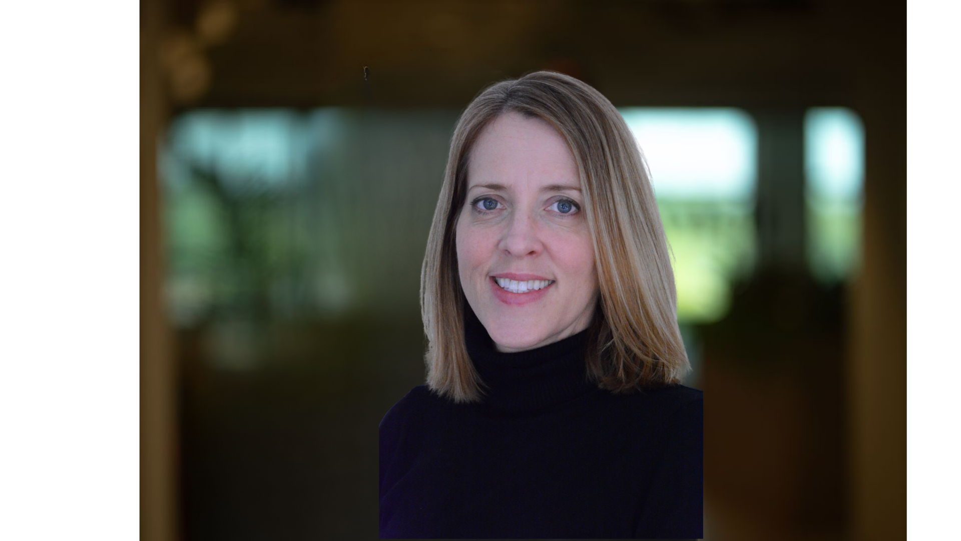 Artificial Intelligence in Government Program Audits: A Strategic ...