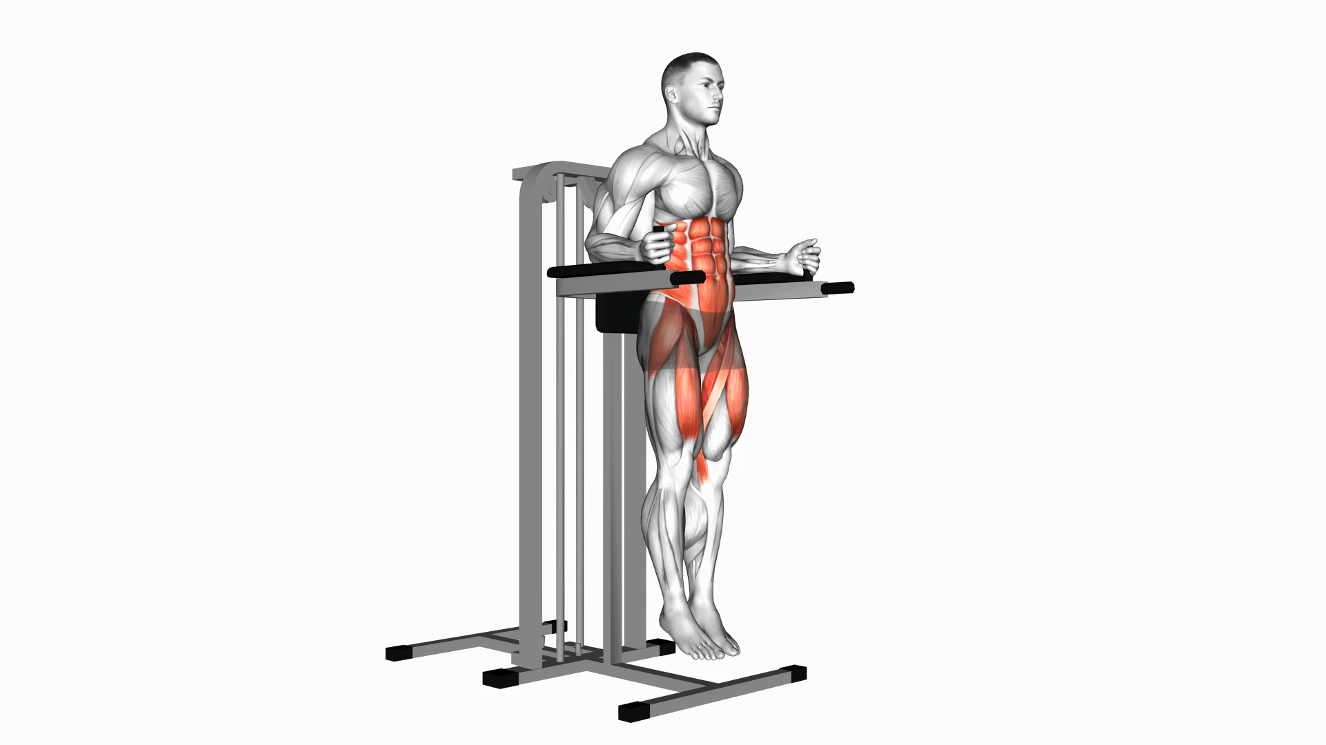 Learn how to perform Vertical Leg Raise Parallel Bars
