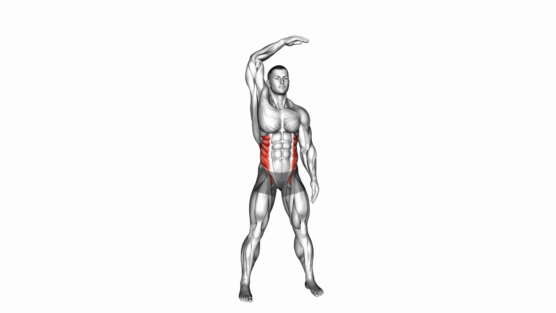 Standing Side Bend Arm Bent: Proper Form, Tips & Muscles Worked | PerfTrain