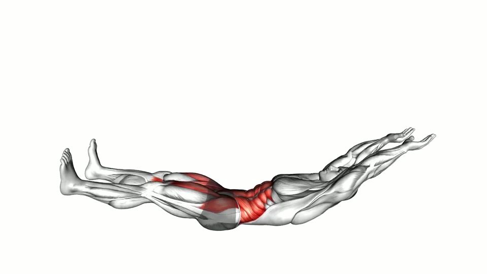 V-Up: Proper Form, Tips & Muscles Worked | PerfTrain