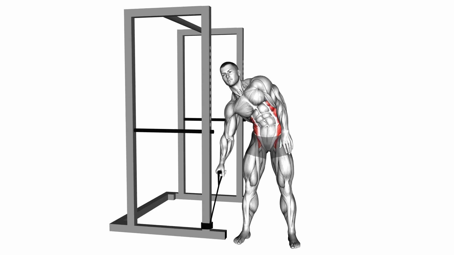 Resistance Band Side Bend: Proper Form, Tips & Muscles Worked | PerfTrain
