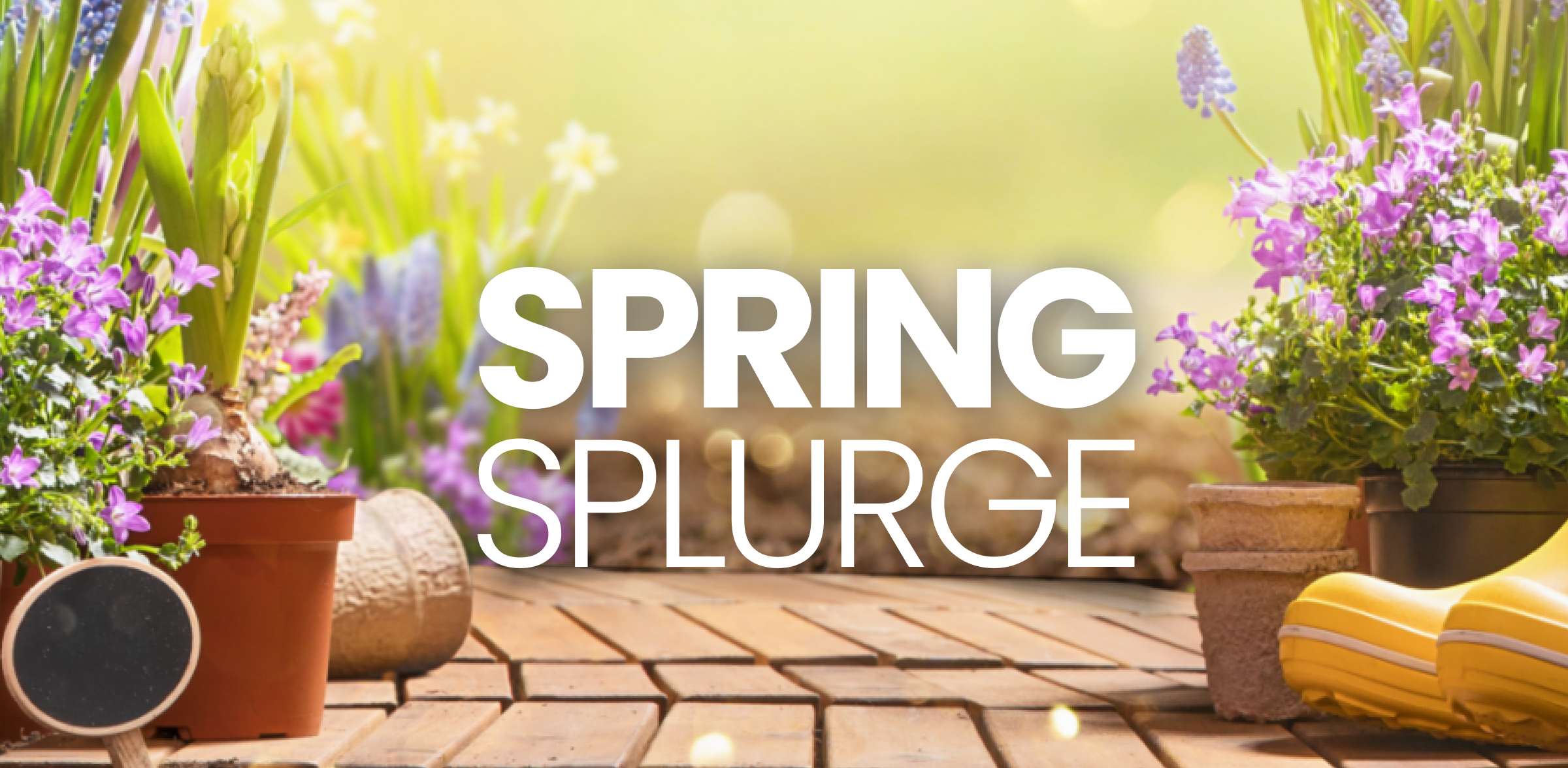 This Week's Springtime Steal! | Davidson Homes