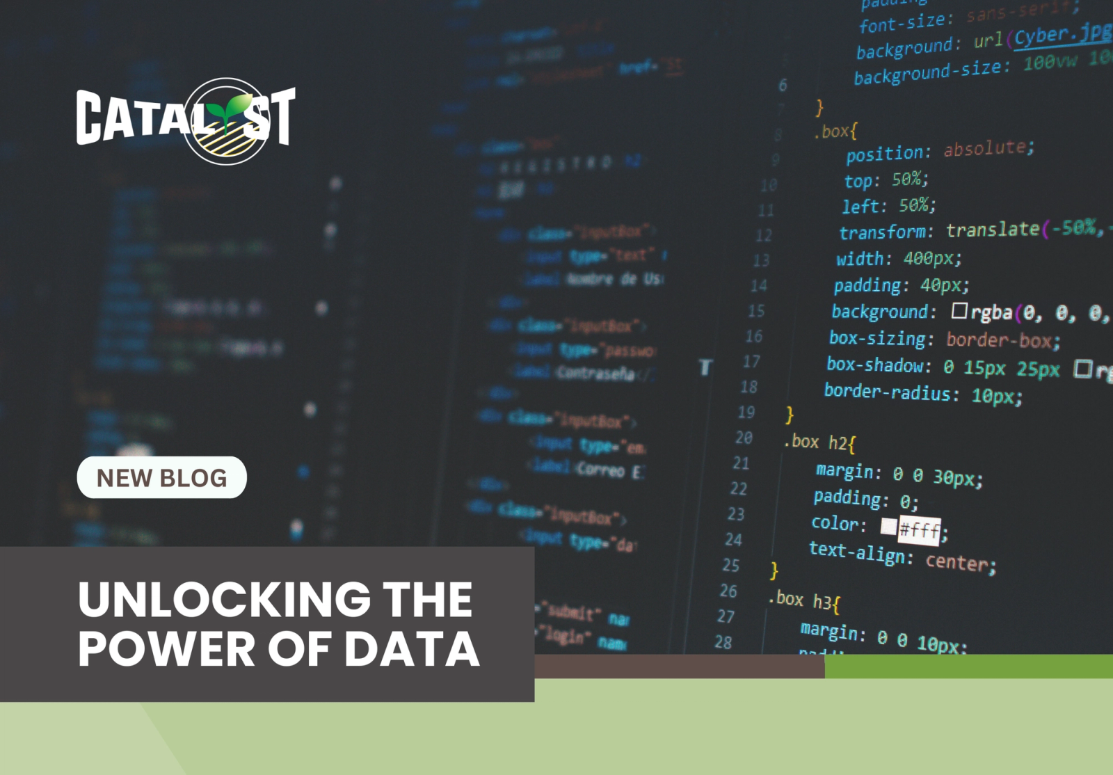 Maximizing Business Success with Data Insights