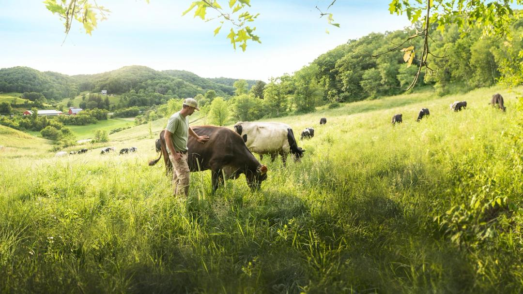 Protecting Your Food | Organic Valley | Ethically Sourced From Small ...