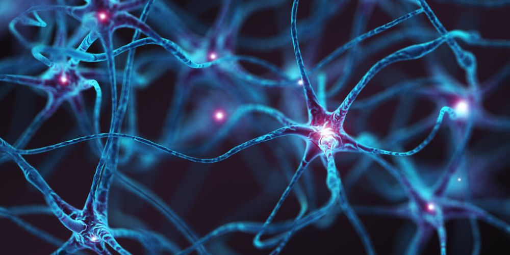 Эрдэмтэд, хорт хавдар ба сэтгэл хөдлөл хоорондоо холбоотой бөгөөд бодол санаа хавдарт нөлөөлдөг ...