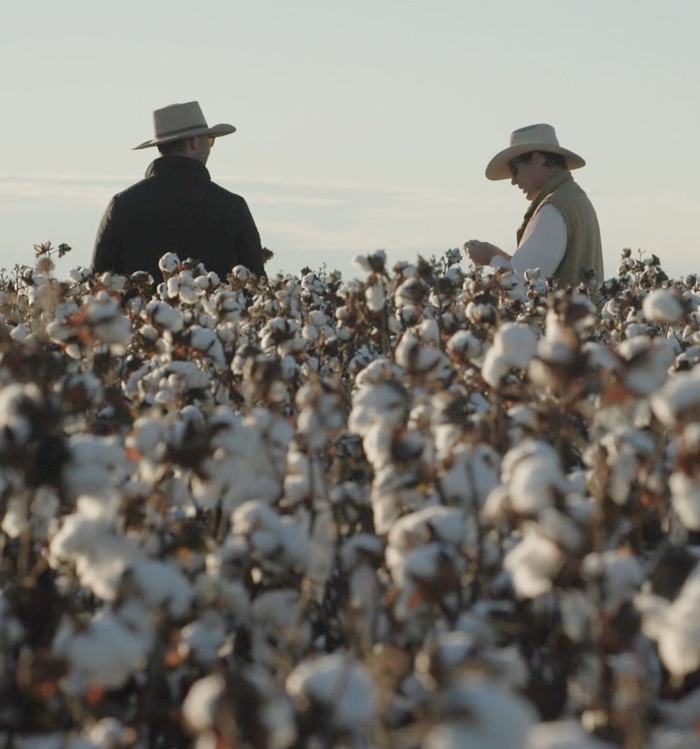 GOOD EARTH COTTON® | Commonry