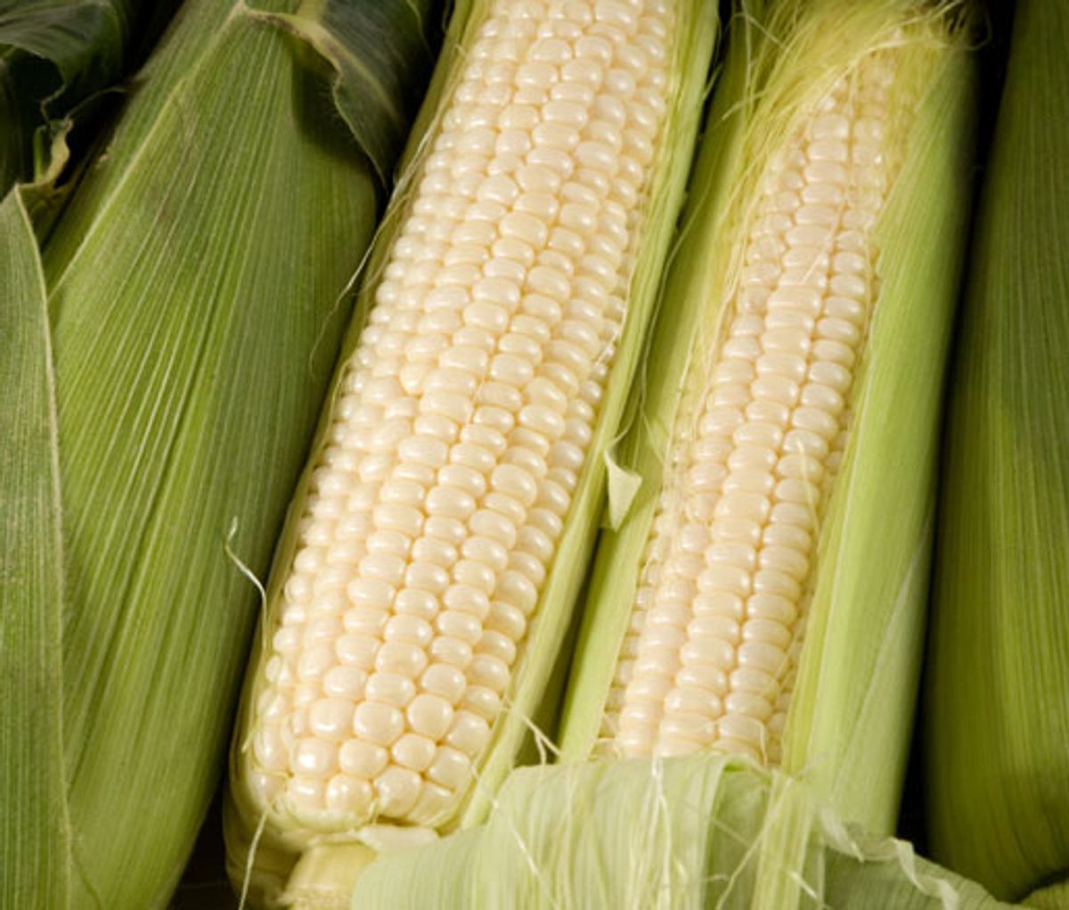 Silver Queen Corn Bisque | James Beard Foundation