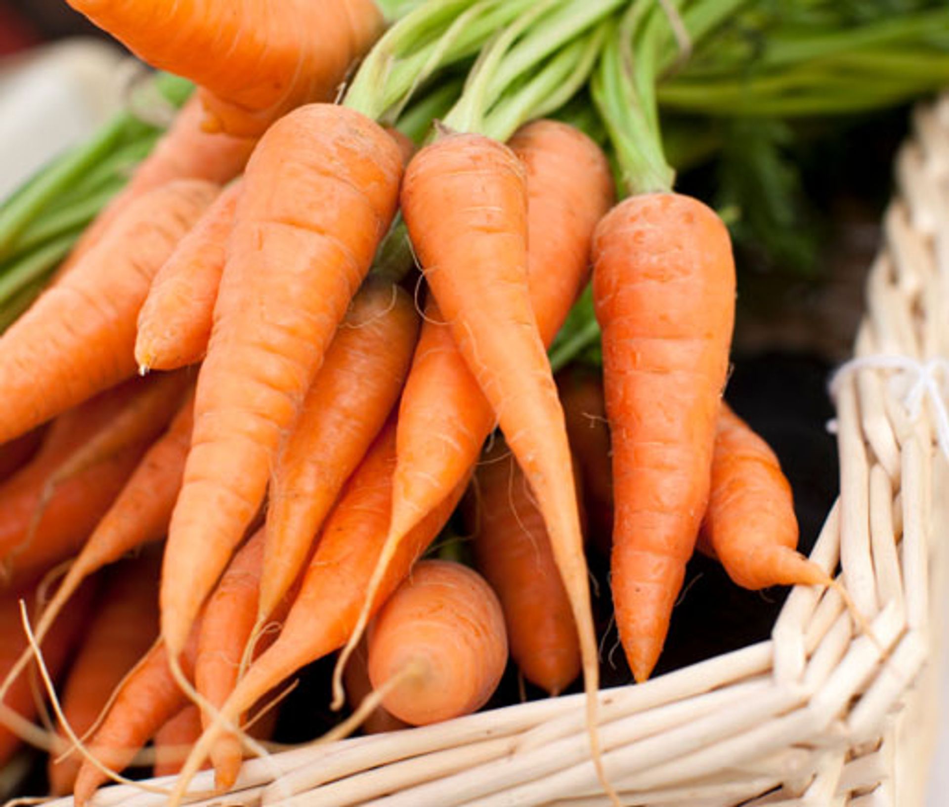 Burnt Carrots with Goat Cheese, Parsley, Arugula, and Crispy Garlic ...