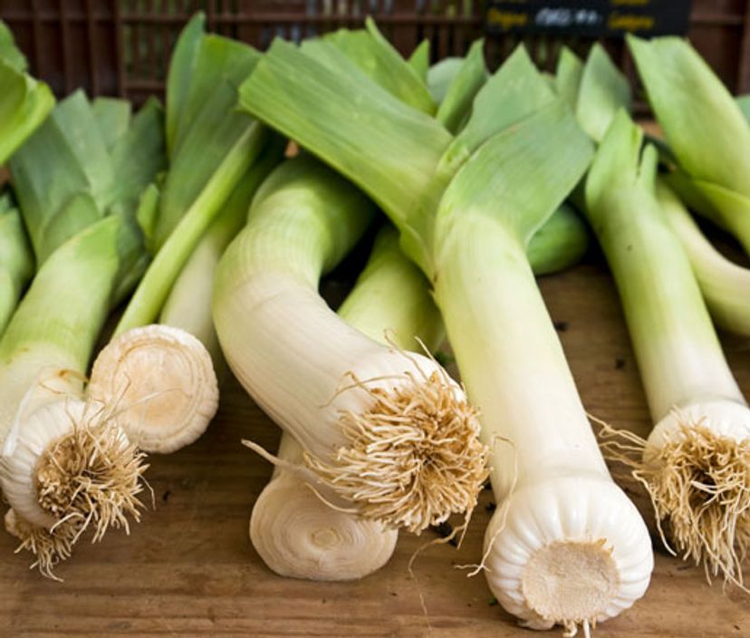 Poached Leeks and Radishes | James Beard Foundation