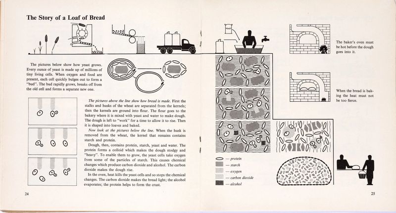 Marie Neurath – Picturing Science
