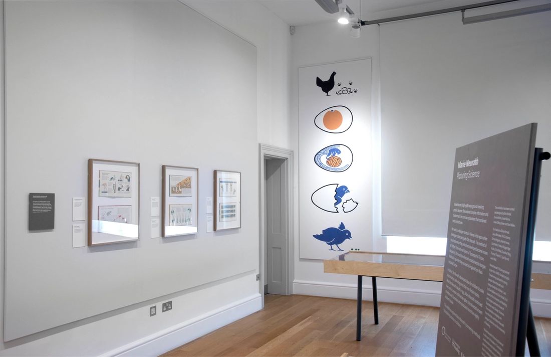 Marie Neurath – Picturing Science