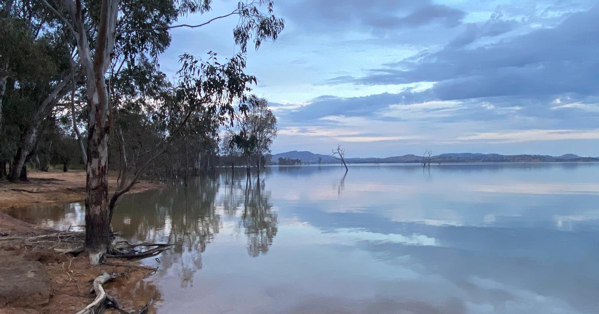 Artist Interview: Jesse Boylan | Murray Art Museum Albury (MAMA)