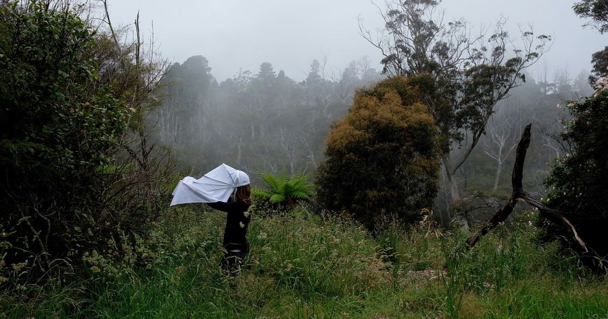 Heidi Axelsen and Hugo Moline: The Visitors | Murray Art Museum Albury ...
