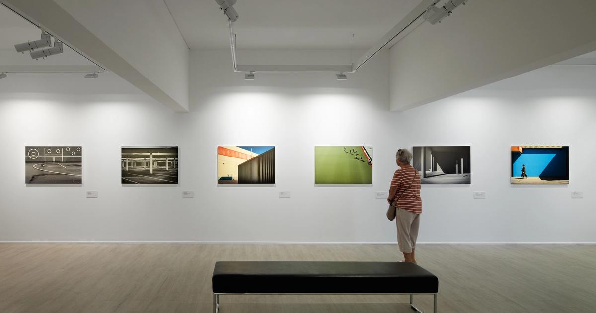 Matthew Scherf: Free Medicine | Murray Art Museum Albury (MAMA)