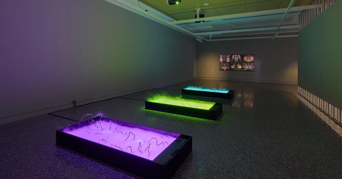 Artist Interview: Ella Barclay | Murray Art Museum Albury (MAMA)