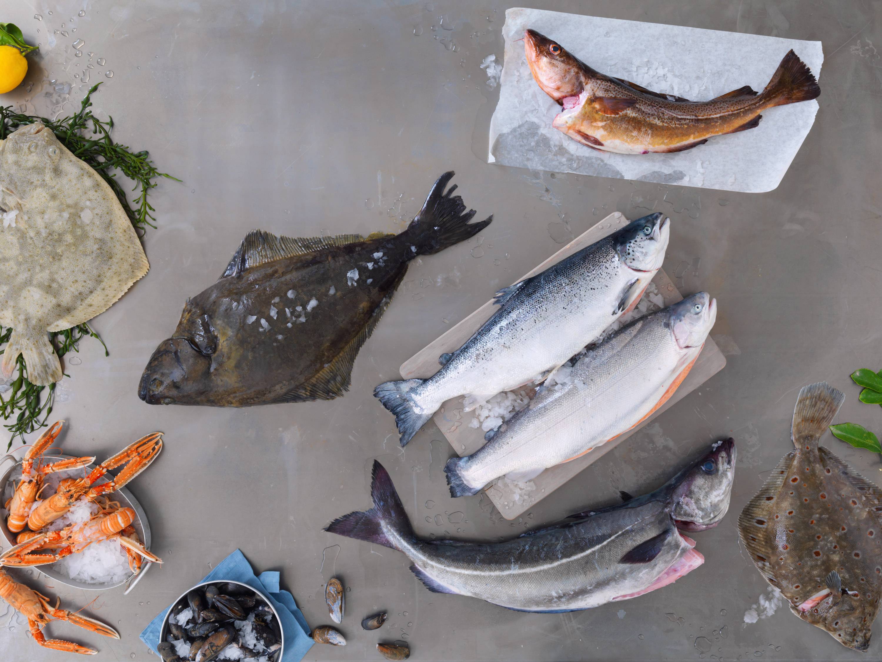 Den store guiden til fiskedisken | MENY