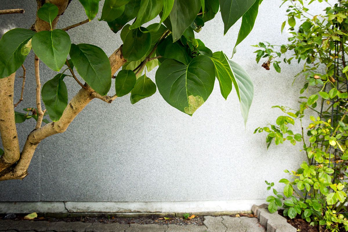 Foundation Wall Cladding for Lasting Facades | Steni®