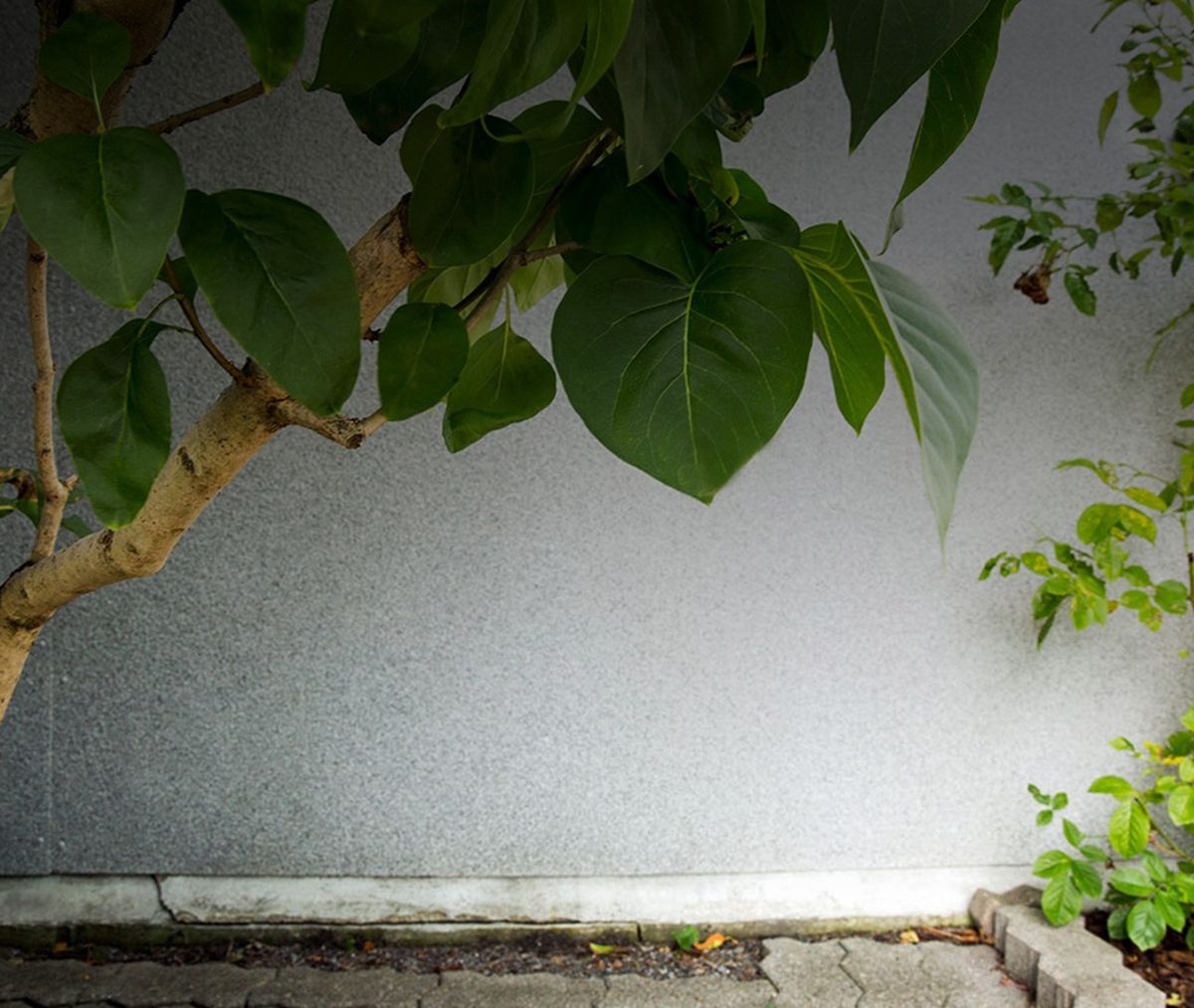 Steni Terra sokkelplater