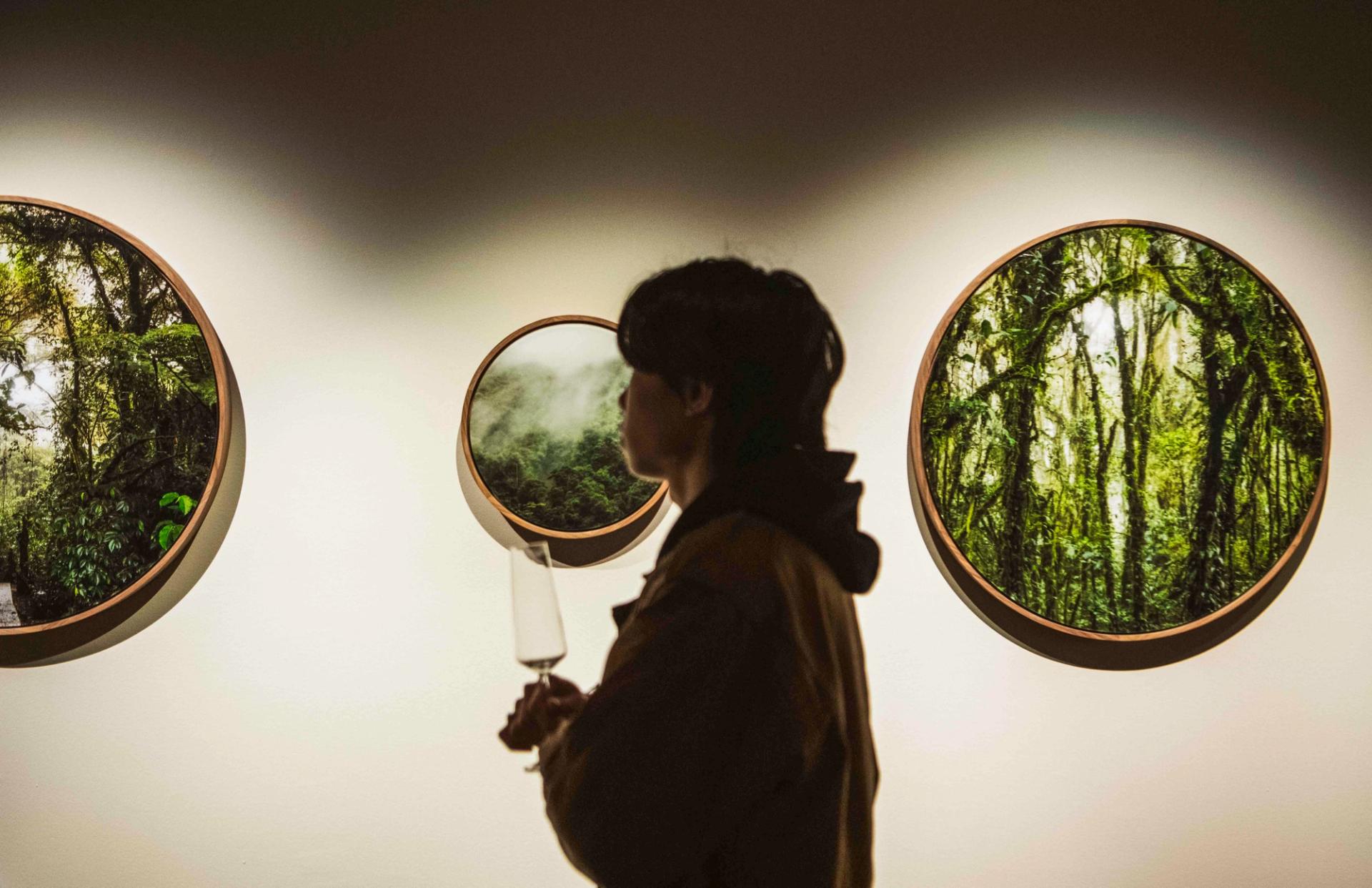 Human / Nature - Encountering Ourselves in the Natural World ...