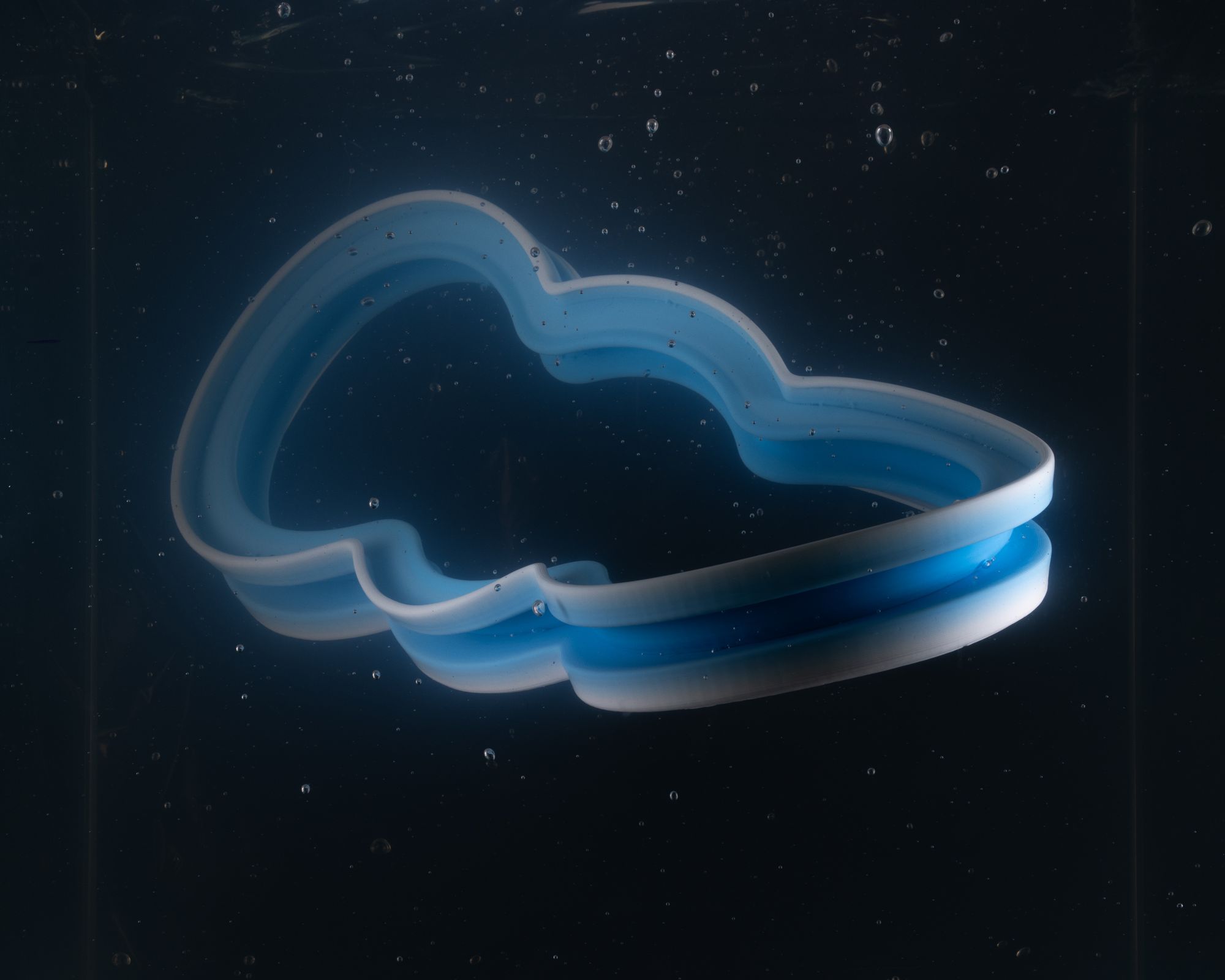 Technology | Rapid Liquid Print Co.