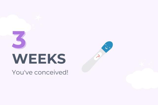 3 Weeks Pregnant: Guide to 3 Weeks of Pregnancy