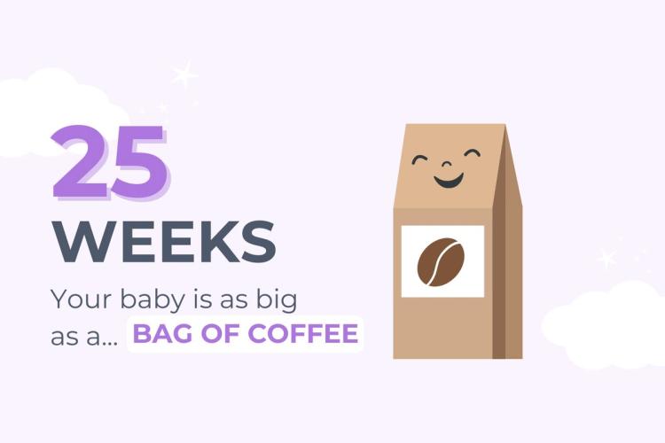 25 Weeks Pregnant | Guide to Being 25 Weeks Pregnant
