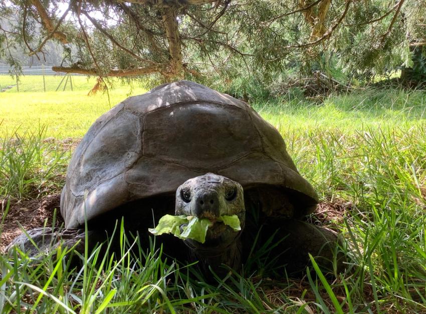 Jonathan | Still Alive Magazine