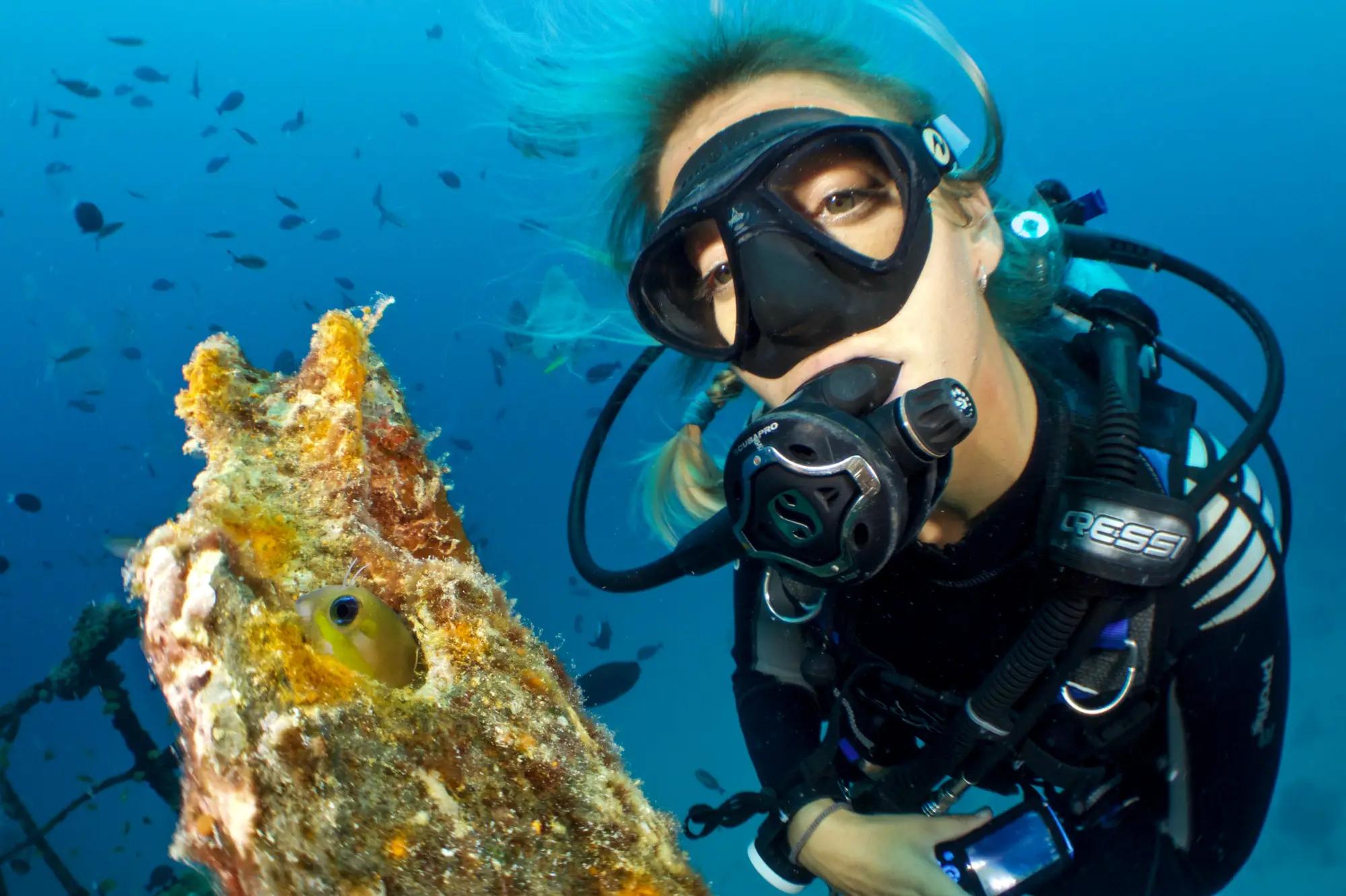 Try Scuba Diving in Punta Cana | PADI Discover Scuba Diving Experience