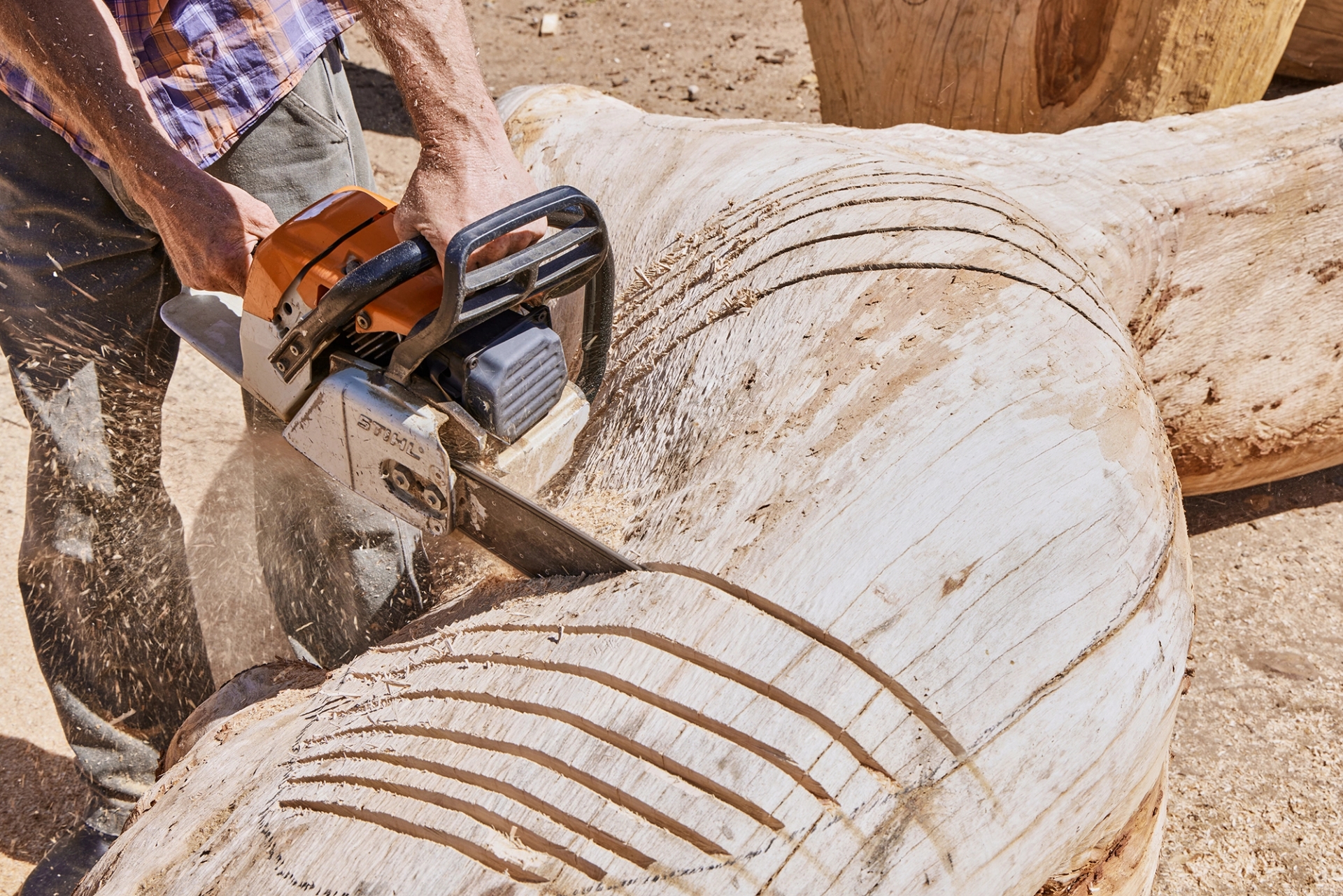 Adam Birch - sculptor