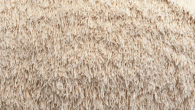 Amine El Gotaibi - multidisciplinary artist