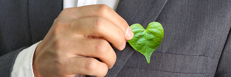 What does board effectiveness look like? - Brainloop - UK