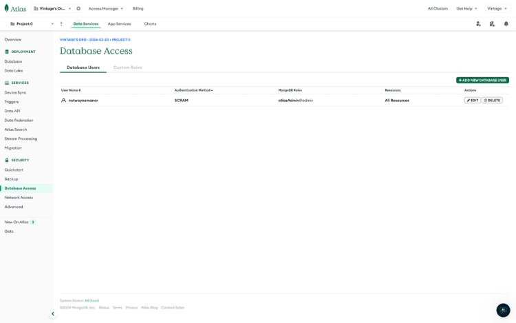What is MongoDB Atlas: A Review of Serverless Database Features - Bejamas