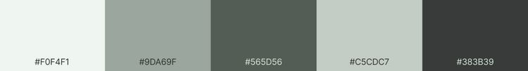 Minimalist Color Palette and Typography in Web Design - Bejamas