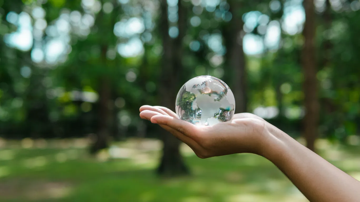 SolveQ Software House | Cross-Platform App Development