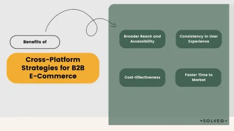 SolveQ Software House | Cross-Platform App Development