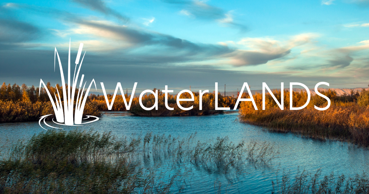 | WaterLANDS: Water-based solutions for carbon storage, people and ...