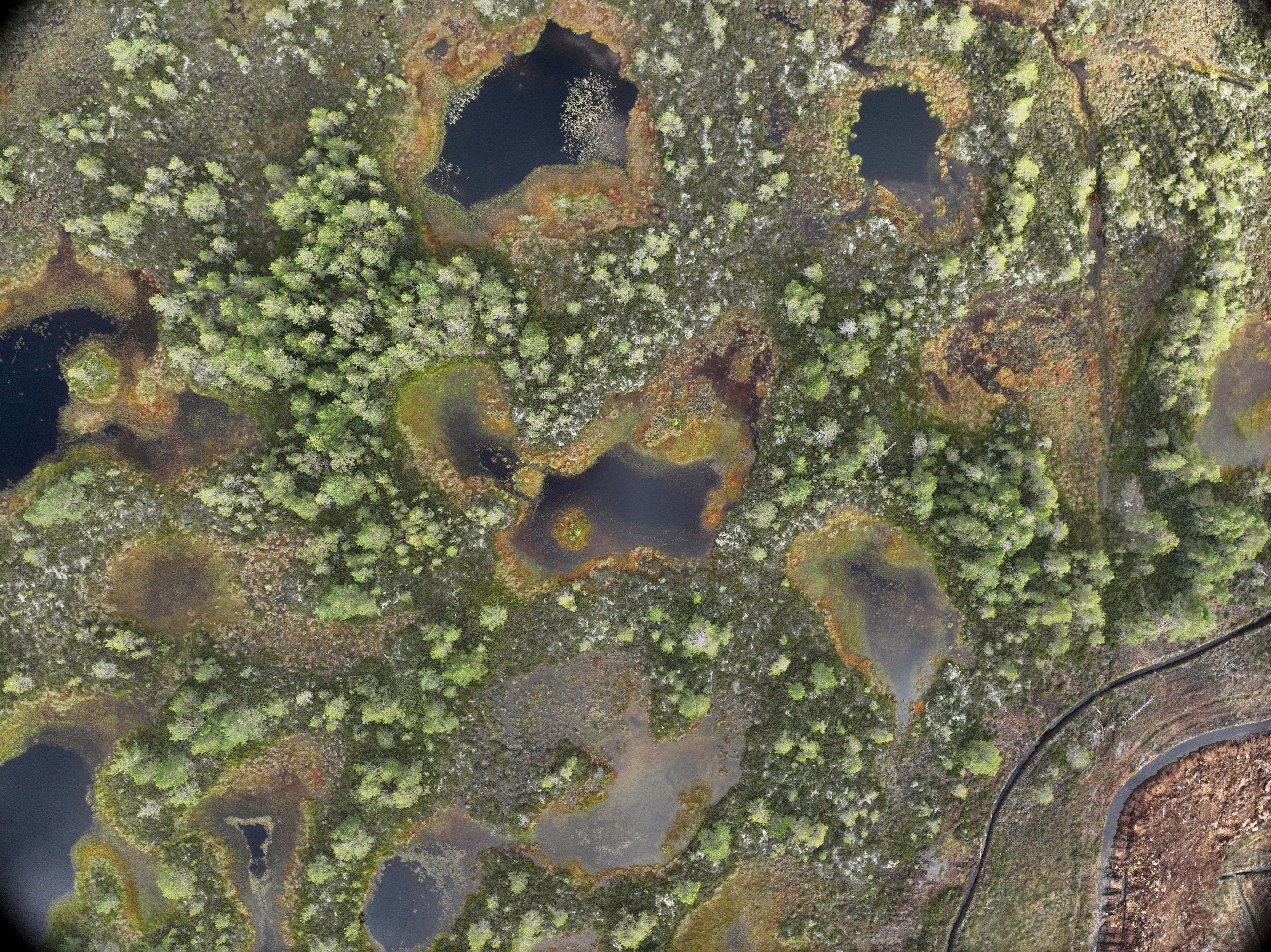 Blog: Accompany WP1 on a Cross-Country Field Campaign: Finnish ...