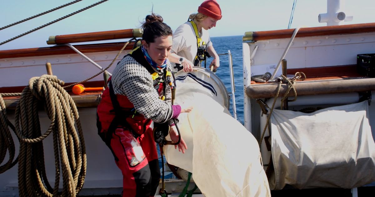 Sampling life in the upper ocean - One Ocean Expedition