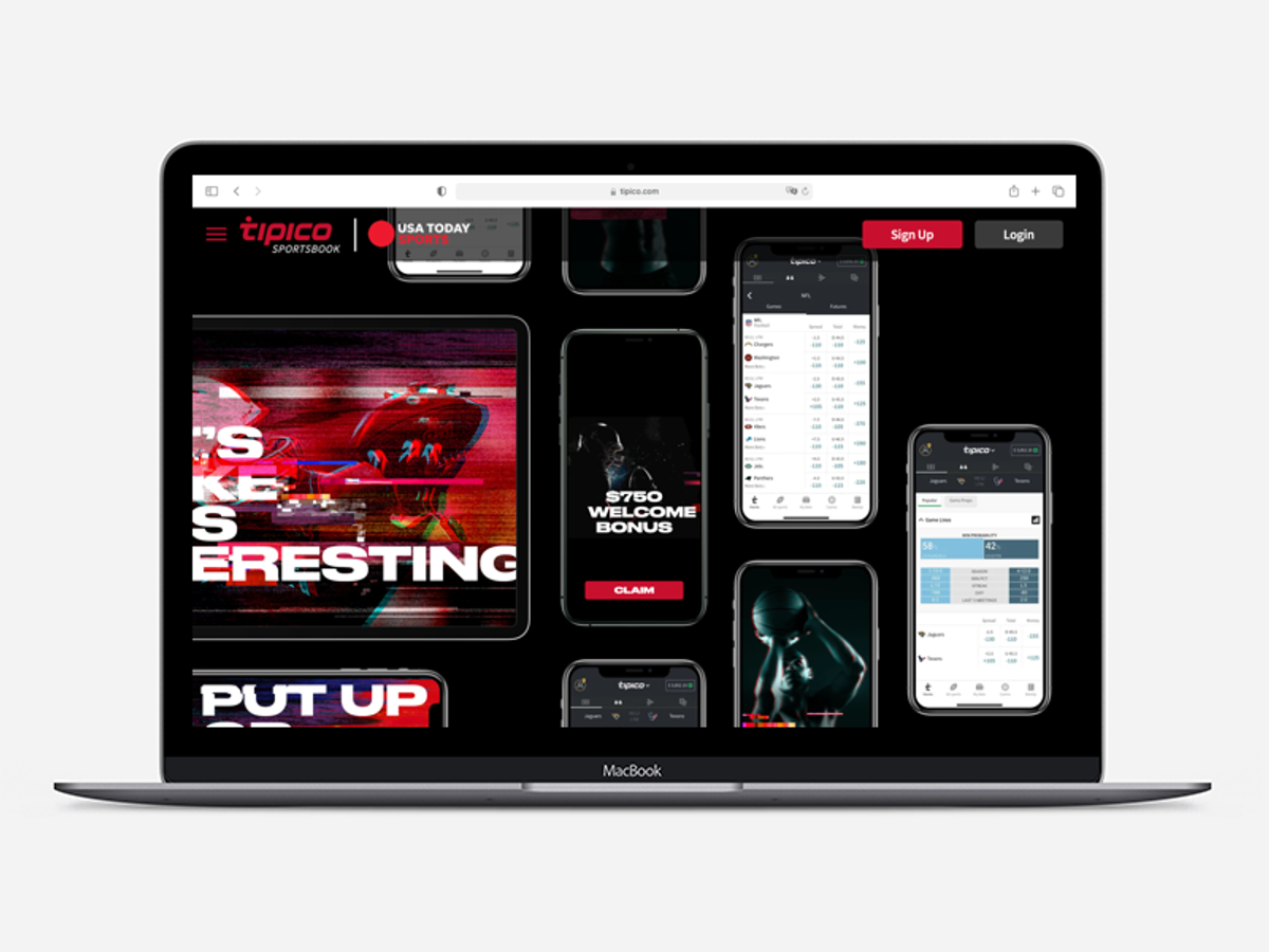 FocusReactive – Sanity Agency Partner