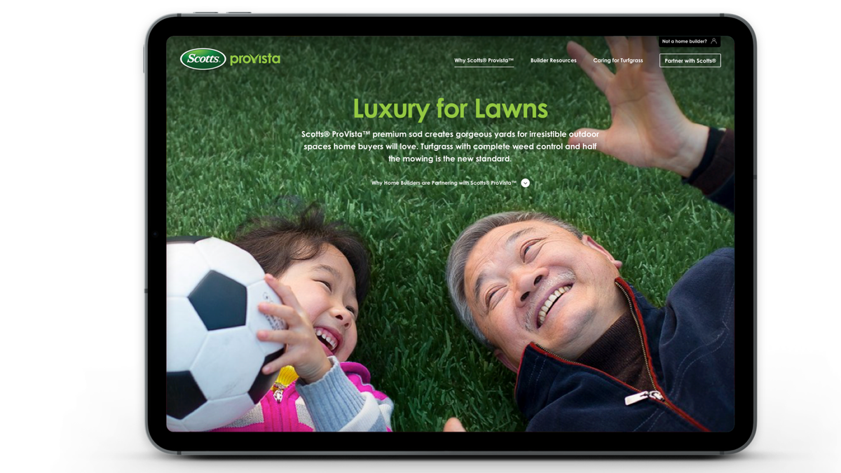 Hanson – Sanity Agency Partner