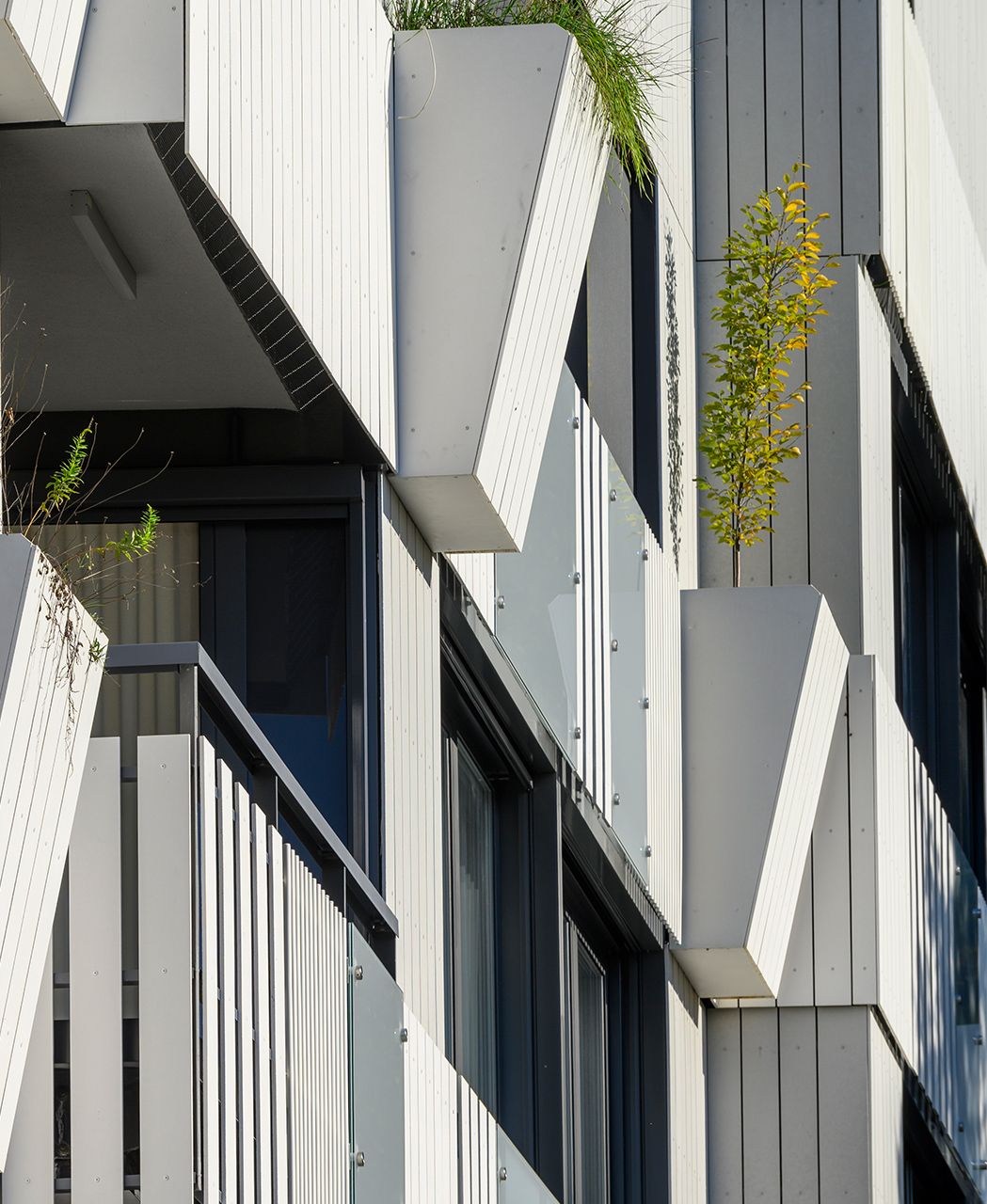 Devana Park | Rieder