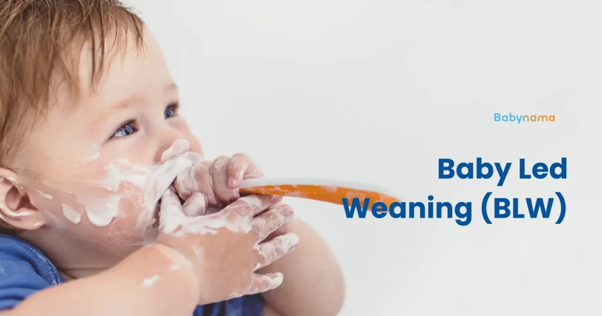 Baby Led Weaning (BLW)