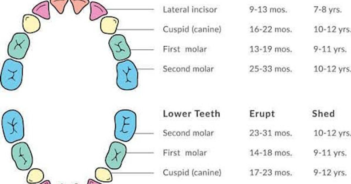 Eruption Cysts in Babies: Teething, Symptoms & Treatment