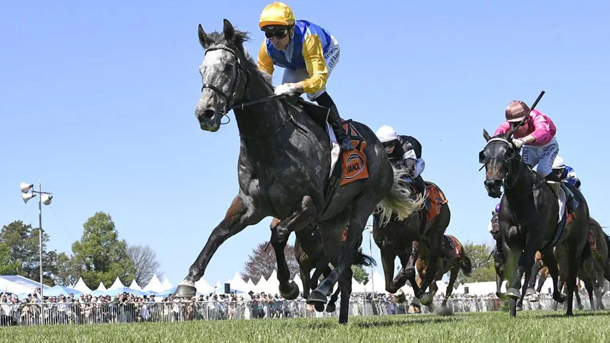 TAB NZ confirms racing calendar for 2024/25 | TAB NZ