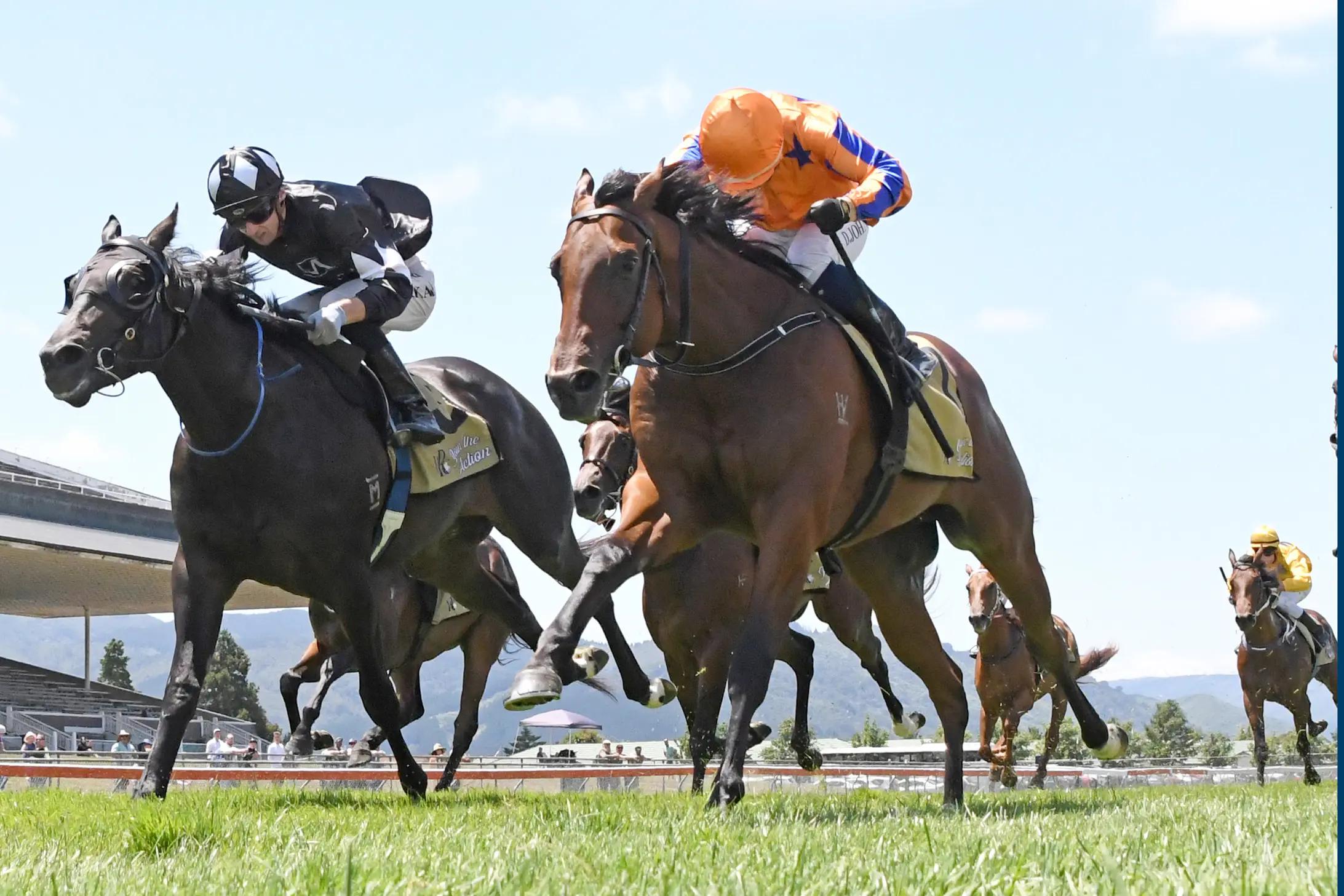 TAB NZ confirms racing calendar for 2023/24 | TAB NZ