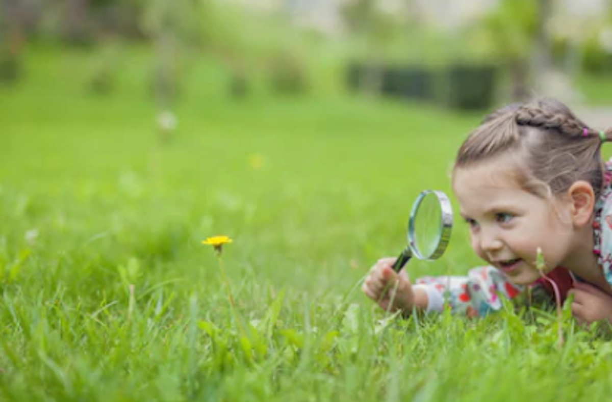 5 Tips to Stimulate Your Child’s Curiosity