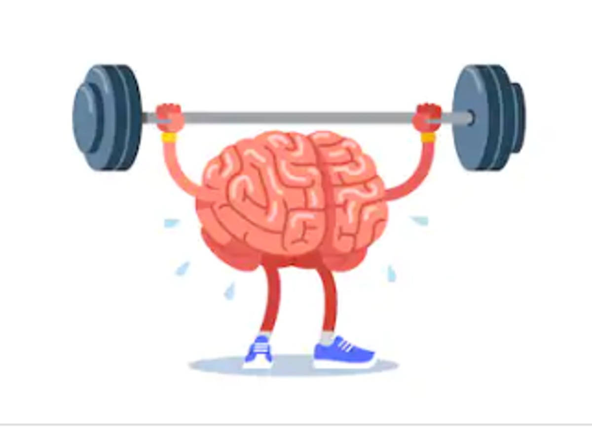 Le cerveau : un muscle qui s’entraîne