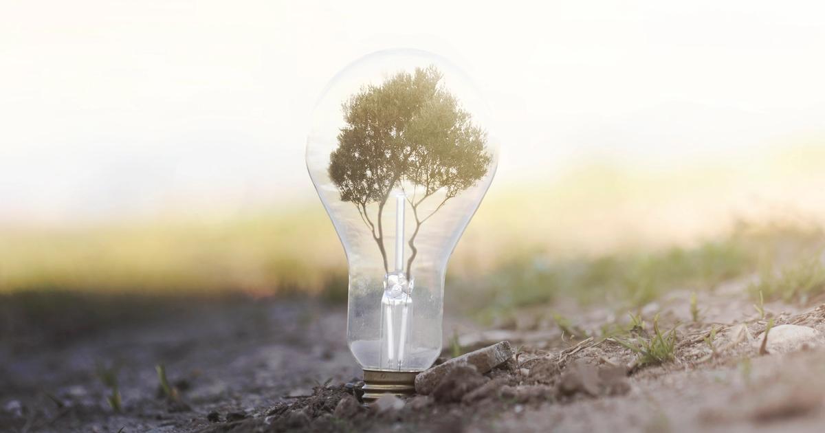 CLP has assisted Norfund in investment in Green Create | CLP